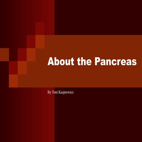 About the Pancreas | PPT