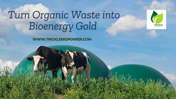 Eco-friendly Power for Everyone.......... | PPT