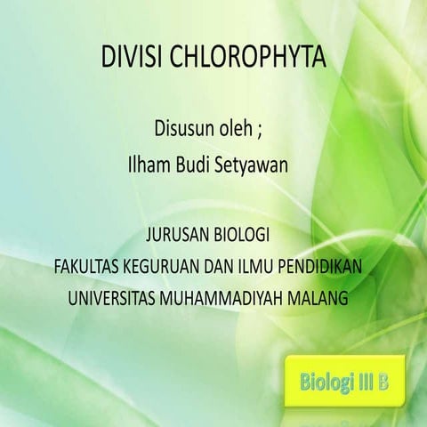 CHLOROPHYTA | PPTX