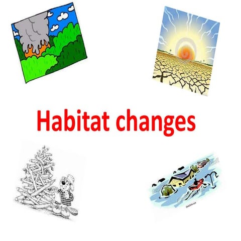 Habitat changes wiki | PPTX