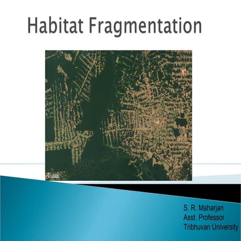 Habitat fragmentation srm | PPT