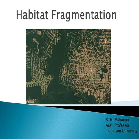 Habitat fragmentation srm | PPTX