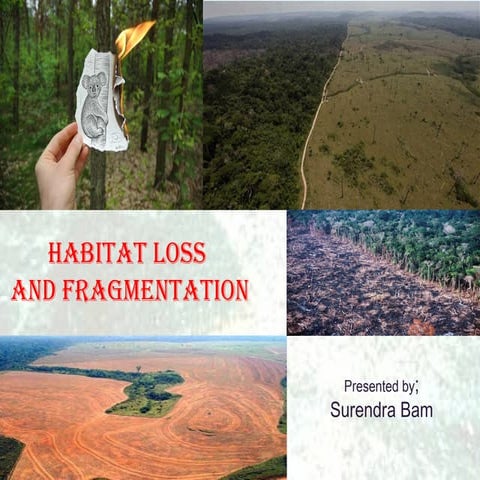 Habitat loss and fragmentation | PPT