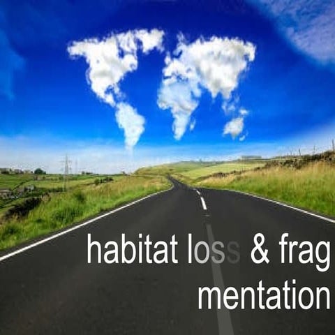 Habitat Loss and Fragmentation | PPT