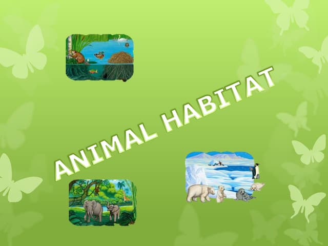 Grade 2 EVS Chapter 1 PPT.pptx | Foot Health | Diseases and Conditions