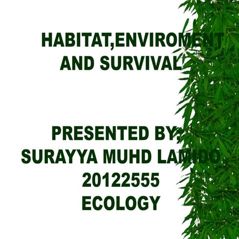 HABITAT, ENVIROMENT AND SURVIVAL | PPT