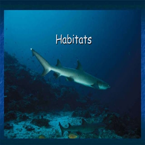 Habitats | PPT