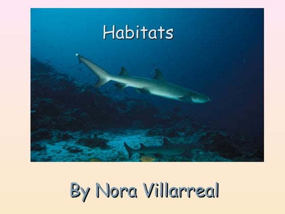 Body Coverings of Animals | PPT