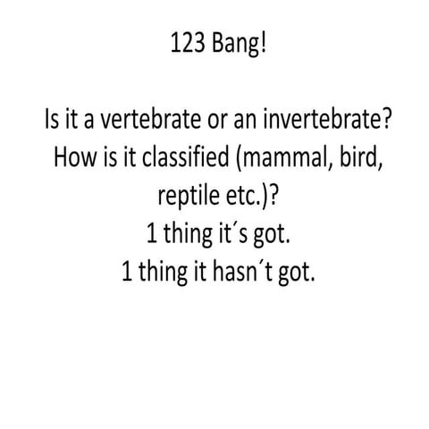 External features of the animals | PPT