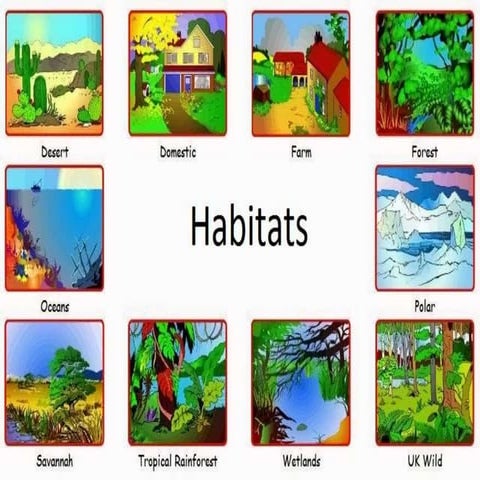 Habitats | PPT