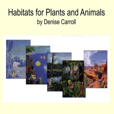 HABITATS - of - animals - and - plants . | PPT