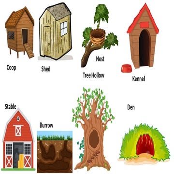 habitats-of-animals-comparative-picture-description-exercises_135593.pptx