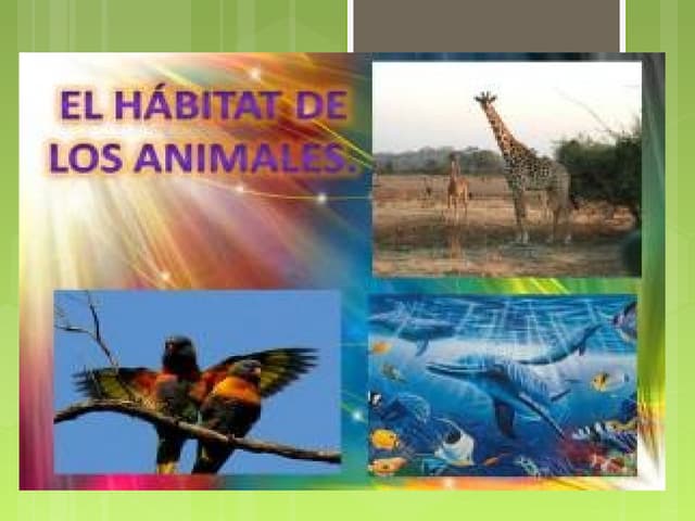 Distintos tipos de hábitat