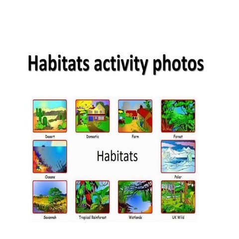 Habitats activity photos | PPTX