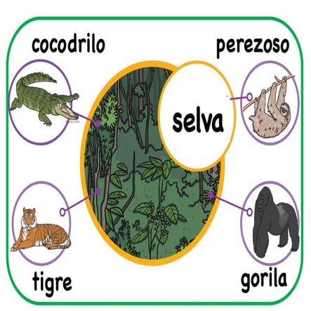 posters hábitats de los animales salvajes.pdf | Zoos & Aquariums ...