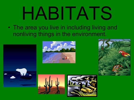 The animals and their habitats | PPT