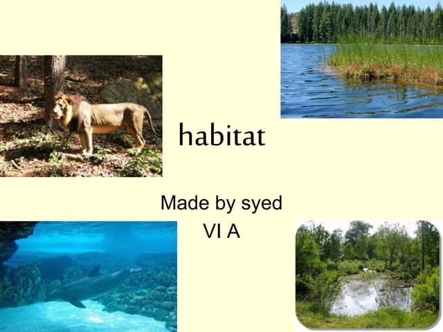 Habitats for plants and animals | PPT