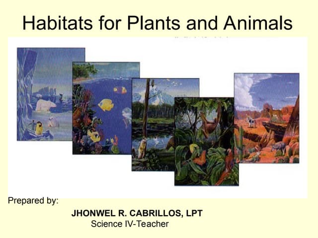 Habitats for plants and animals | PPT