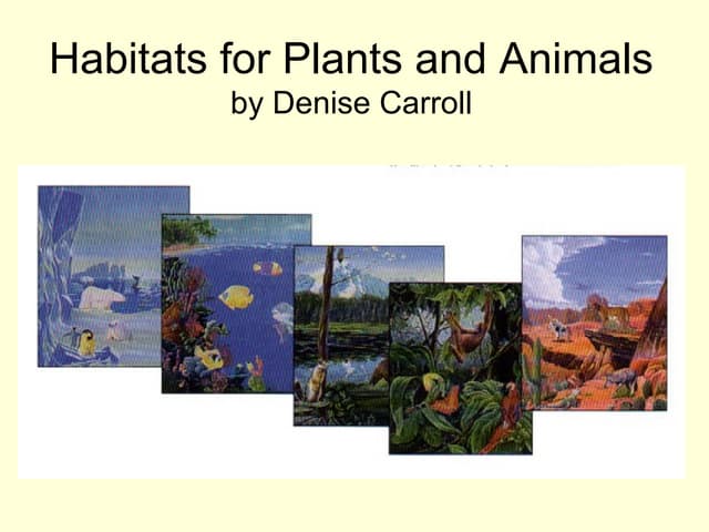 Habitats.pptx for grade 2 level children | PPTX