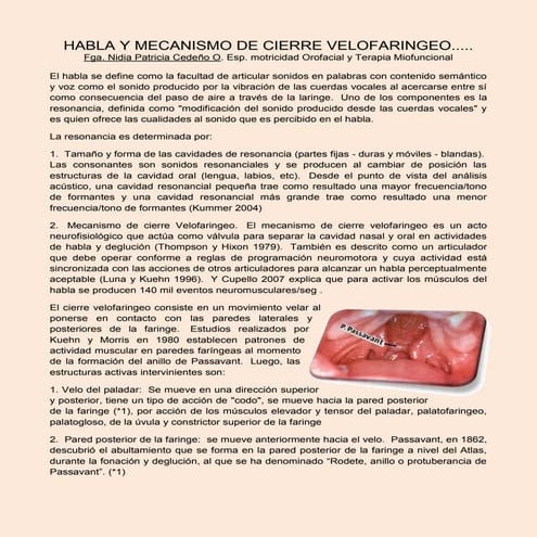 Habla y mecanismo de cierre velofaringeo | DOCX
