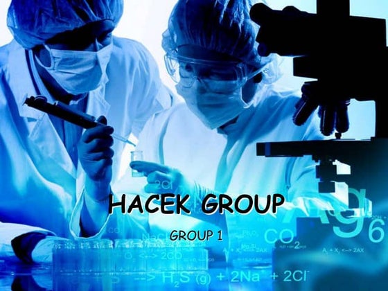 Hacek | PPT
