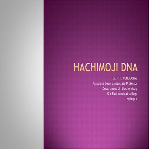 Hachimoj dna | PPT