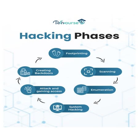6 Phases Of Hacking Pdf 