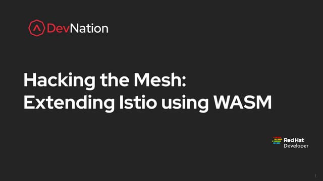 Hacking The Mesh Extending Istio With Webassembly Modules Devnation Tech Talk Ppt 7315