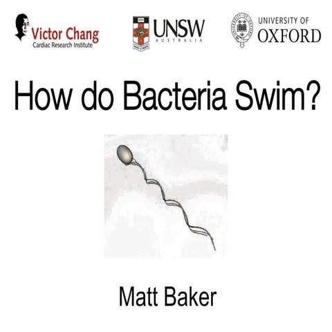 How Do Bacteria Swim? by Matt Baker | PPT