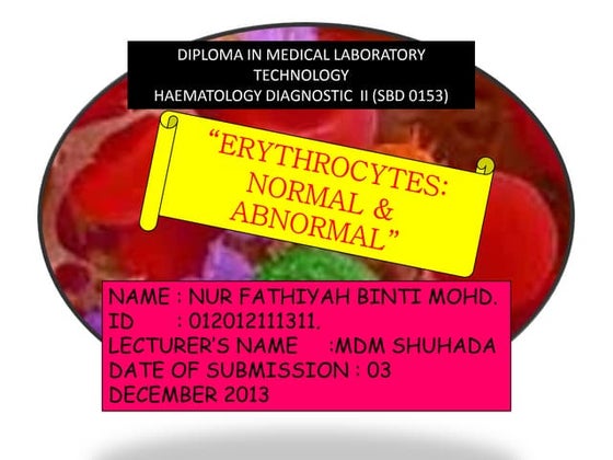 Abnormal morphology of rbc notes | PDF