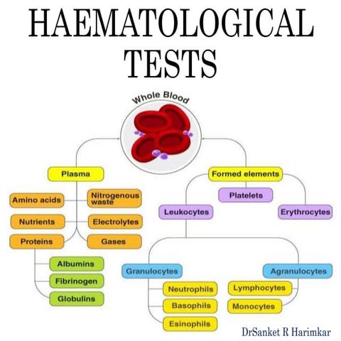 Haematological tests ppt.pptx