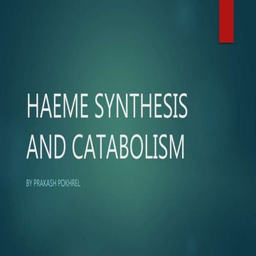Haeme synthesis and catabolism | PPT