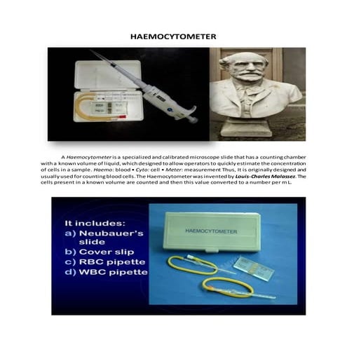 Haemocytometer | DOCX