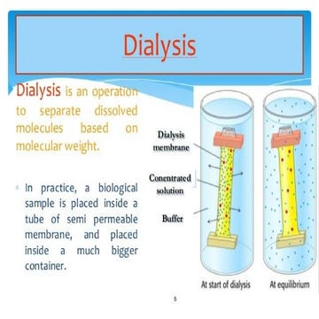 Haemodialysis | PPT