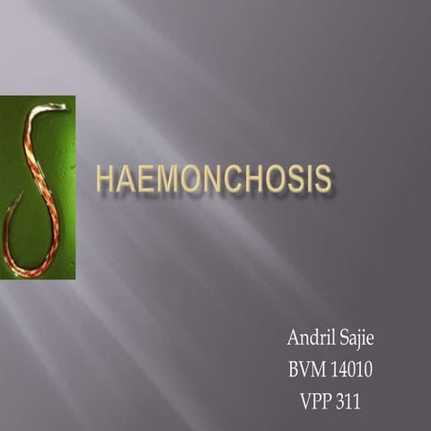 Haemonchosis | PPTX