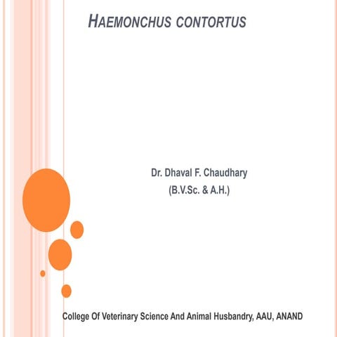 Haemonchus contortus | PPTX