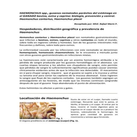 Bunostomum trigonocephalum | PPTX