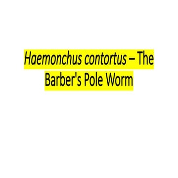Haemonchus contortus – The Barber's Pole Worm.pptx