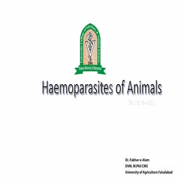 Common blood parasites in dogs | PPSX