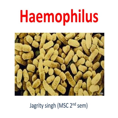 Haemophilus influenzae | PPTX