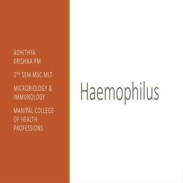 Haemophilus species MLT notes .ppptx | PPTX