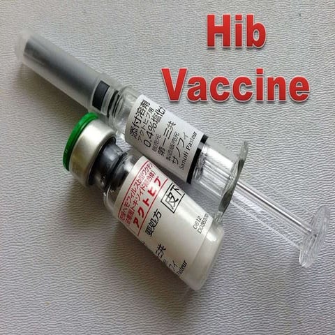 Haemophilus Influenzae Vaccine