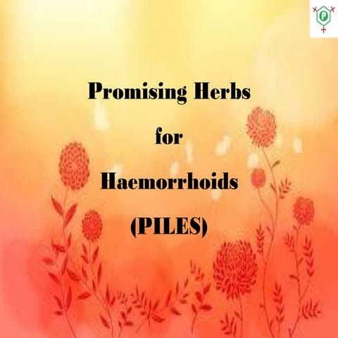 Haemorrhoids | PPT