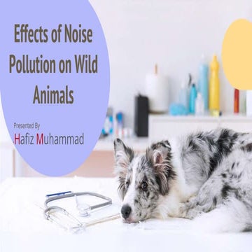 Effects of Noise Pollution on Wild Animals.pptx