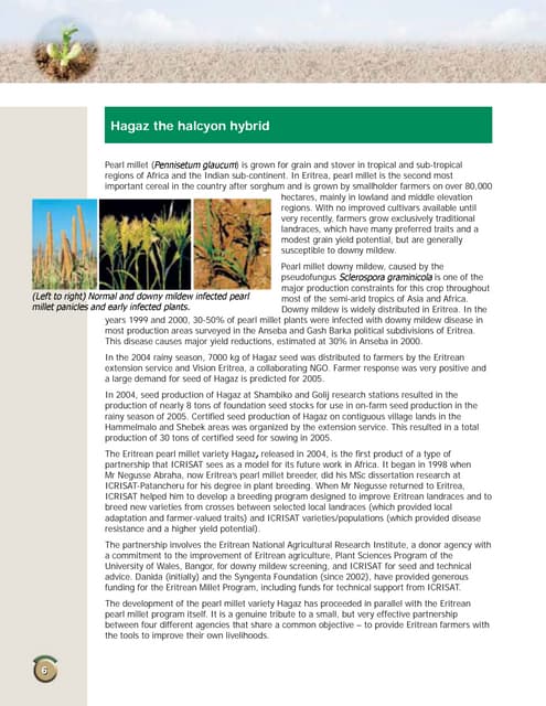 An alternative to groundnut is a better groundnut | PDF | Agriculture ...