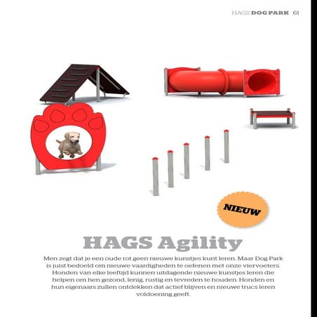 Hags Agility | PDF