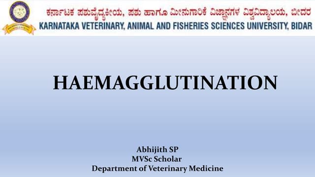 Mc fadyean reaction | PPTX