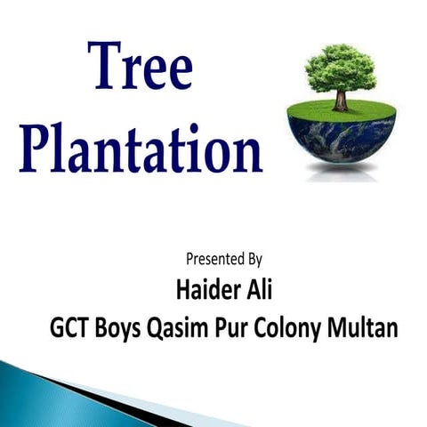 TREE PLANTATION | PPTX
