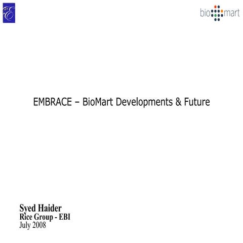 Haider Embrace Bosc2008 | PPT