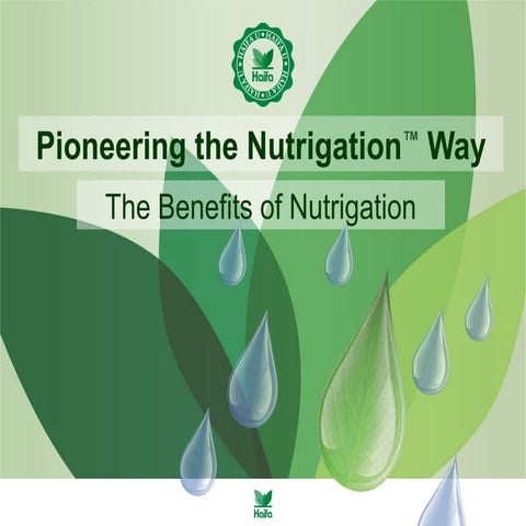 Haifa Nutrigation™ | PPT